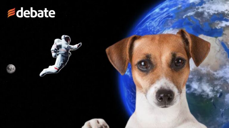 ¿Cuál es el único animal visible desde el espacio? Descubre la ...