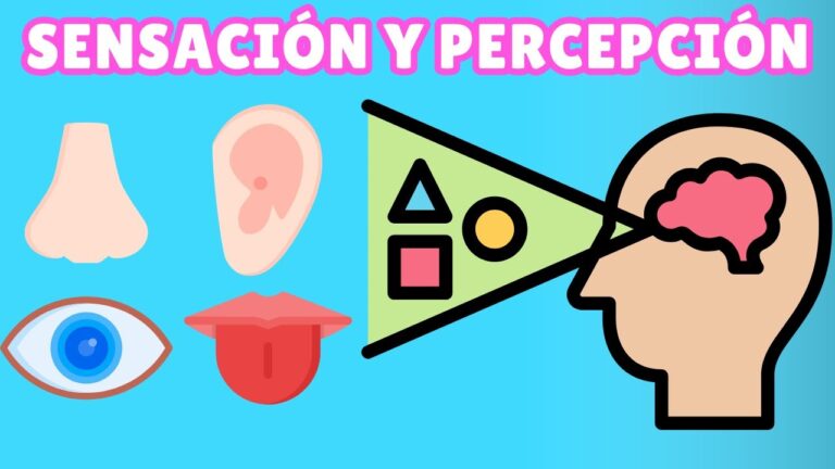 ¿Qué es la percepción en psicología? Definición, tipos y ejemplos ...